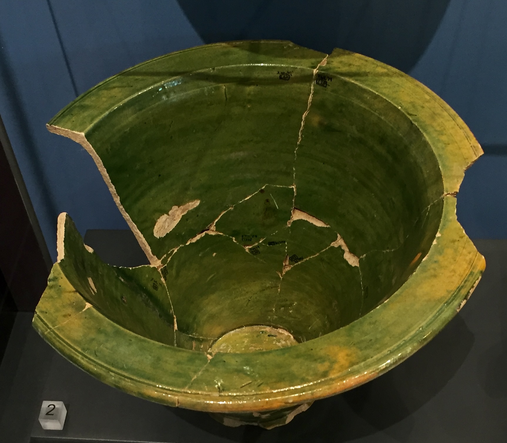 A terrific new exhibition – a Roman cat, Georgian rabbits and much more ...