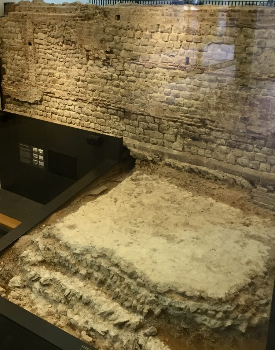 A terrific new exhibition – a Roman cat, Georgian rabbits and much more ...