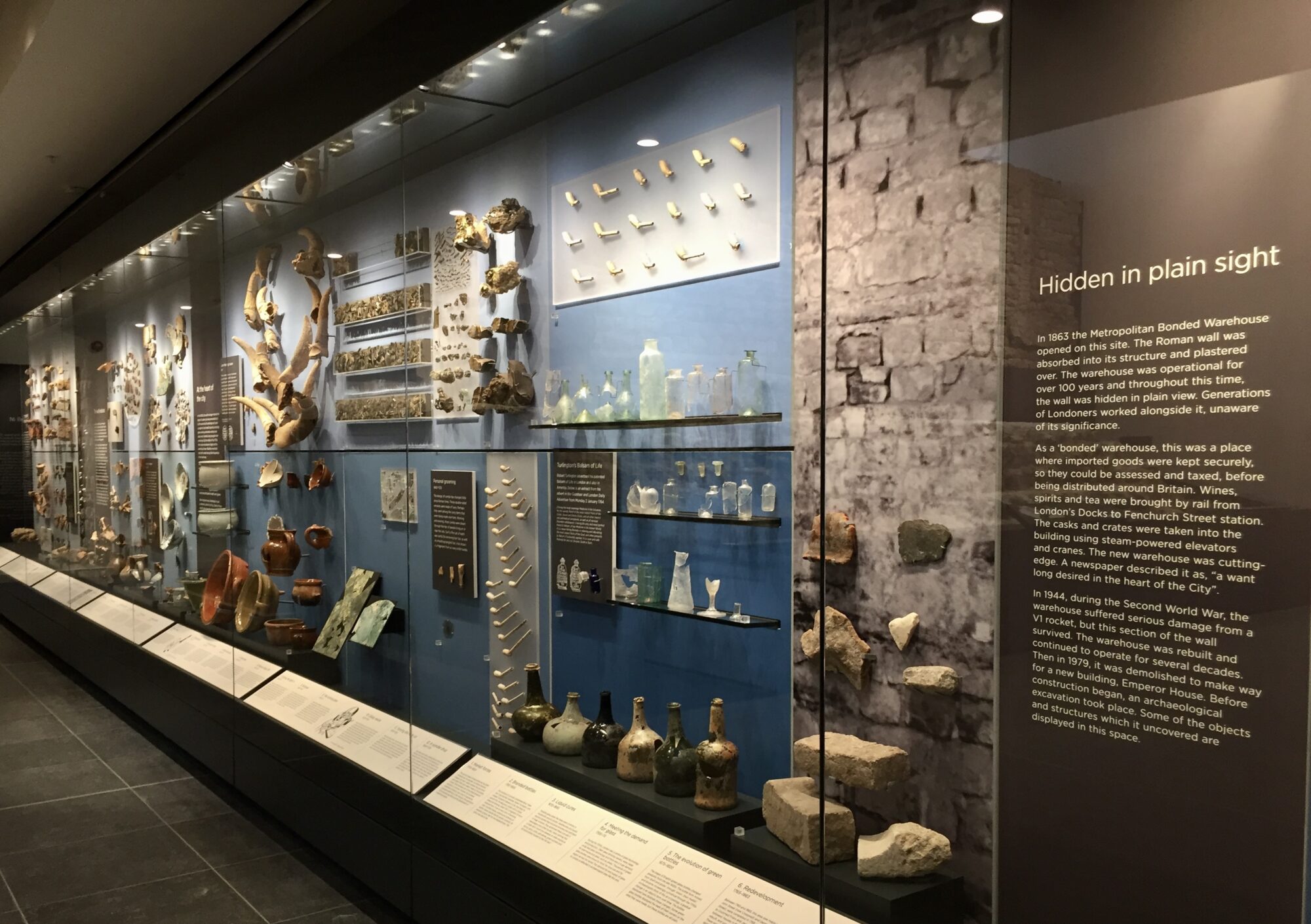 A terrific new exhibition – a Roman cat, Georgian rabbits and much more ...