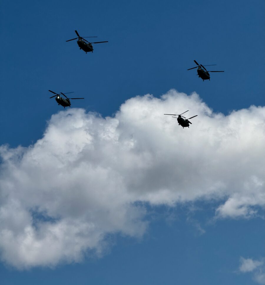 The King’s Birthday flypast and a new exhibition at the Guildhall ...